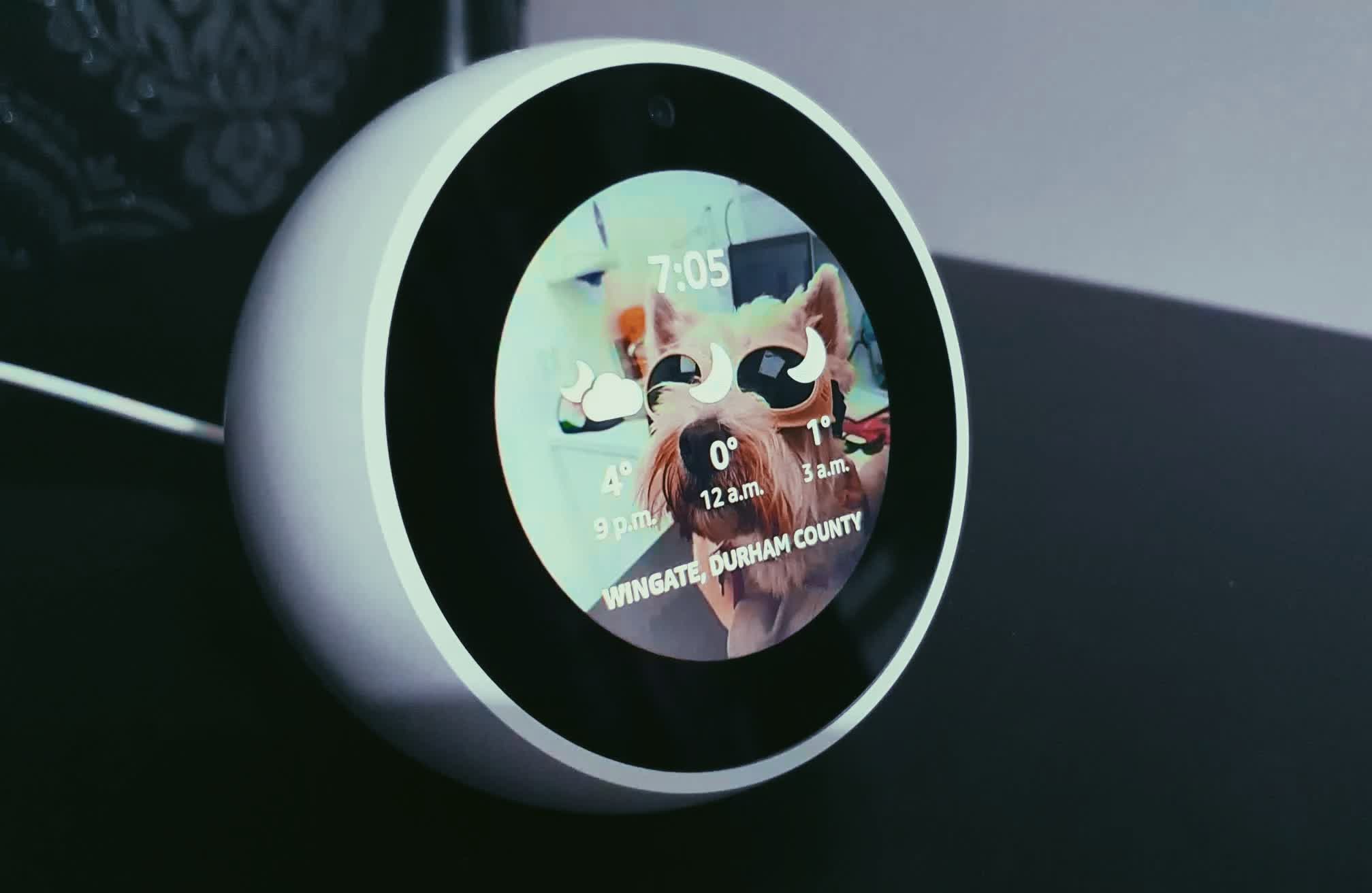 How to Use the Amazon Echo Spot and Echo Show as a Security Camera ...