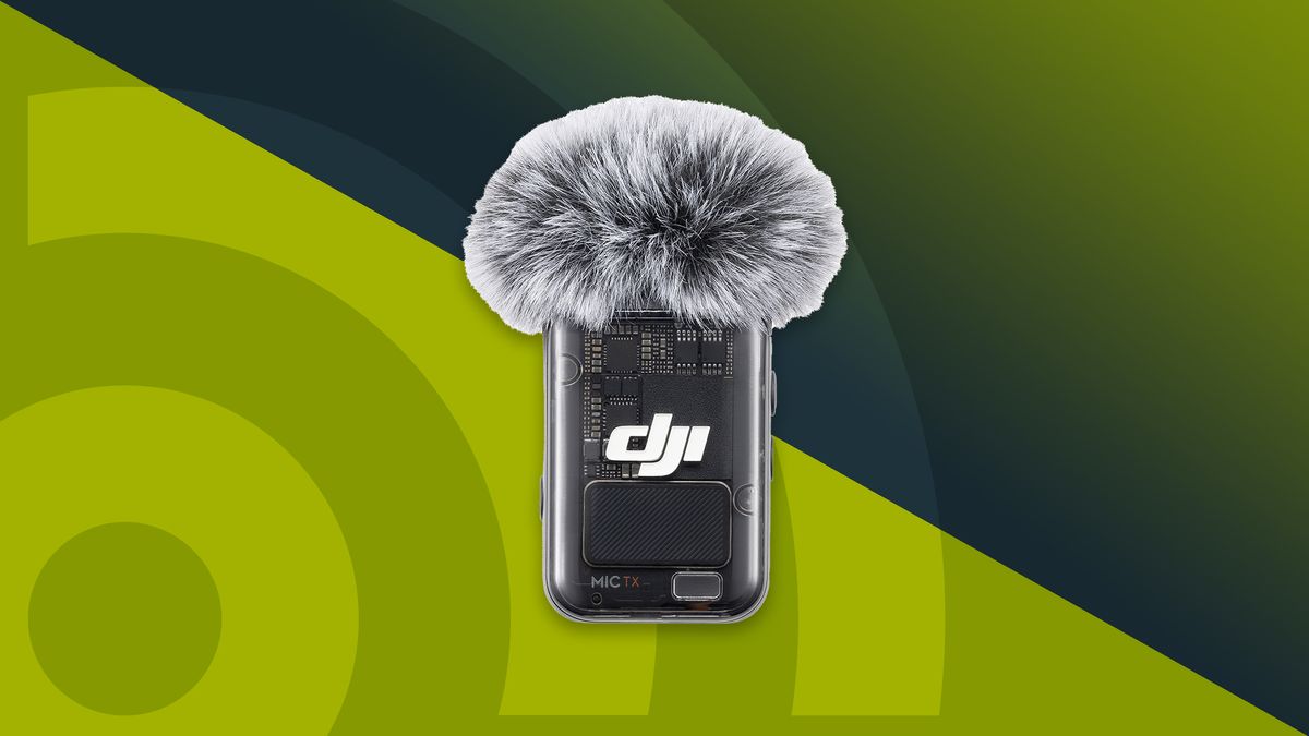 The best wireless mic for 2025: top wearable vlogger microphones ...