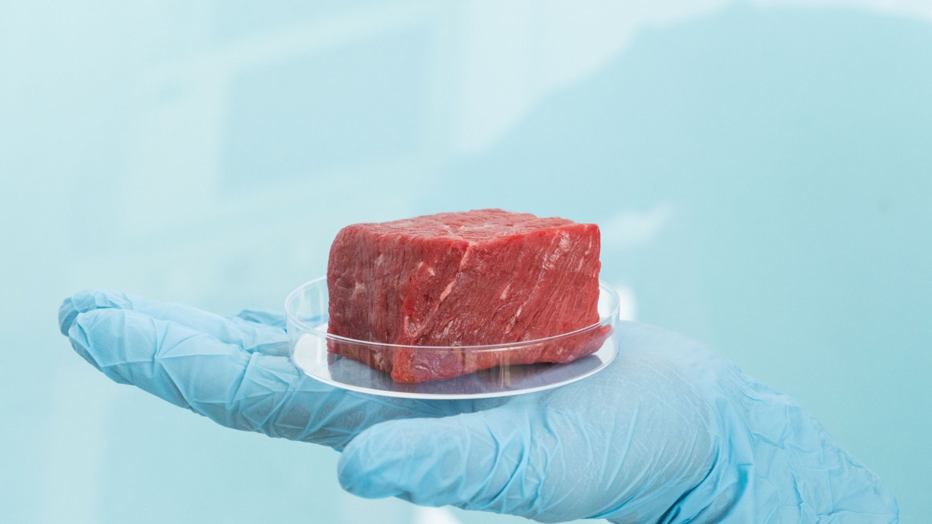 Is Lab-Grown Meat Really the Future? - mailinvest.blog
