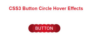 CSS3 Button Circle Hover Effects - mailinvest.blog