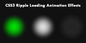 CSS3 Ripple Loading Animation Effects - mailinvest.blog